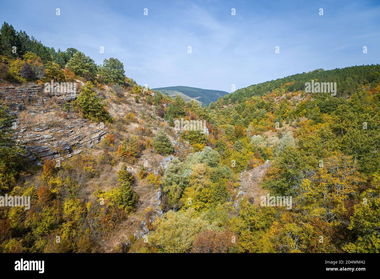 Amazing fall colors of the trees in the forest in a valley, surrounded ...