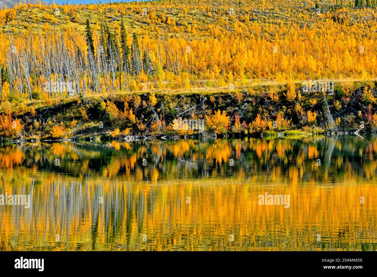 A gorgeous fall landscape image along Sincline ridge on the shores of ...