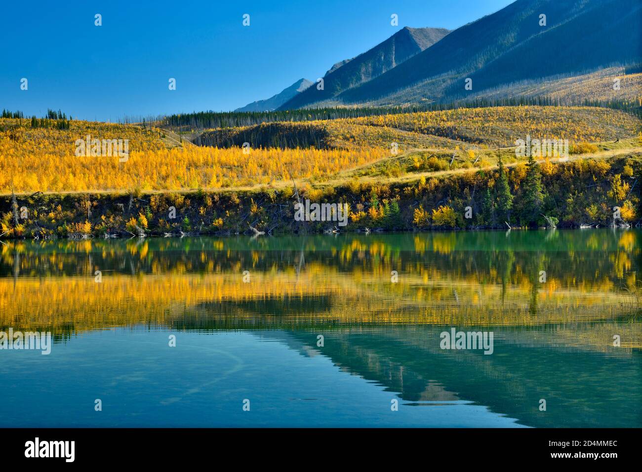 A beautiful autumn scene of the colorful foliage along the shore on ...