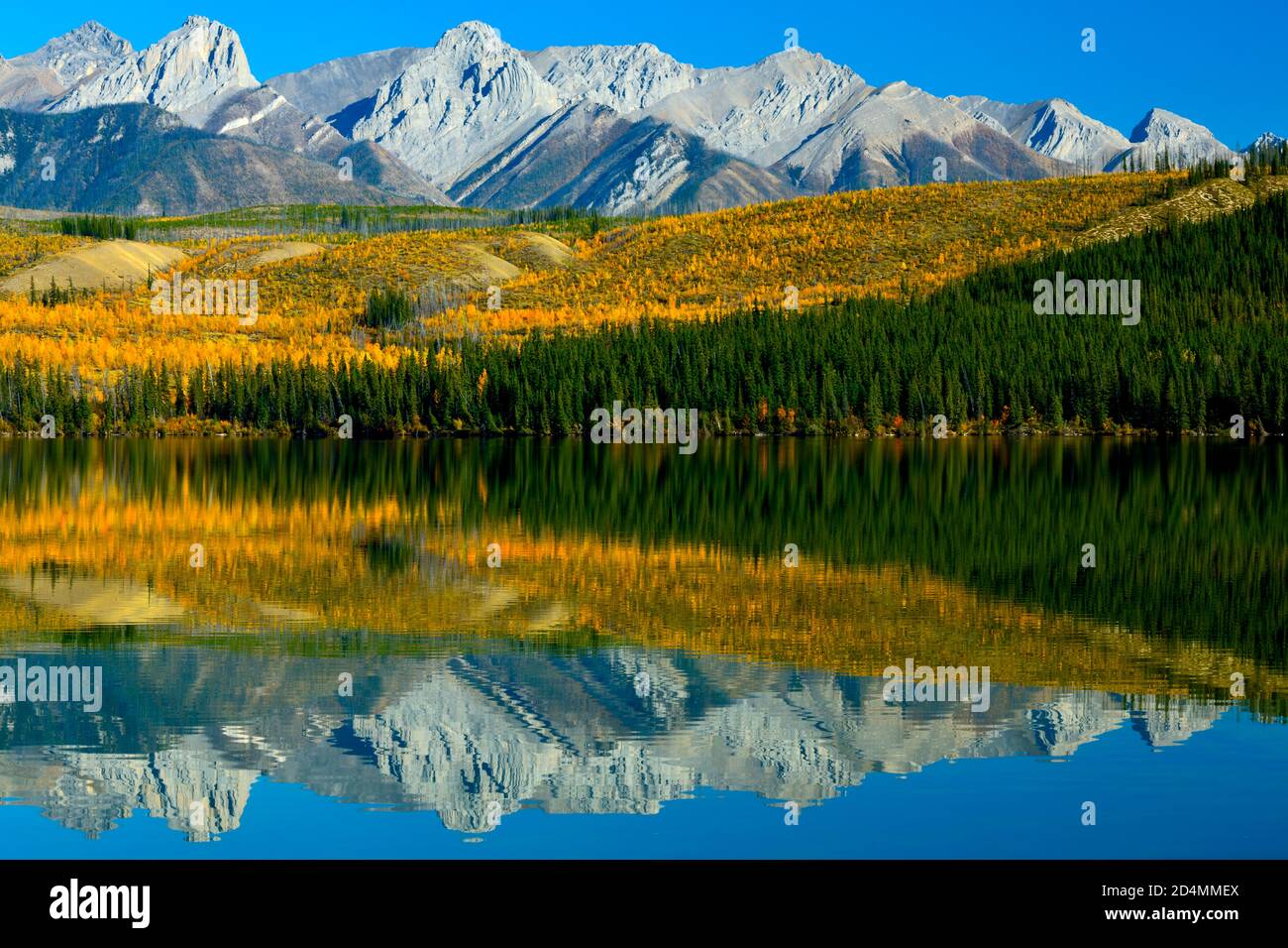 A beautiful autumn scene of the colorful foliage along the shore on ...
