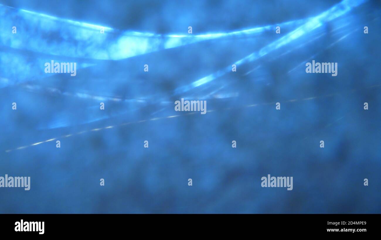 Mottled color hi-res stock photography and images - Alamy