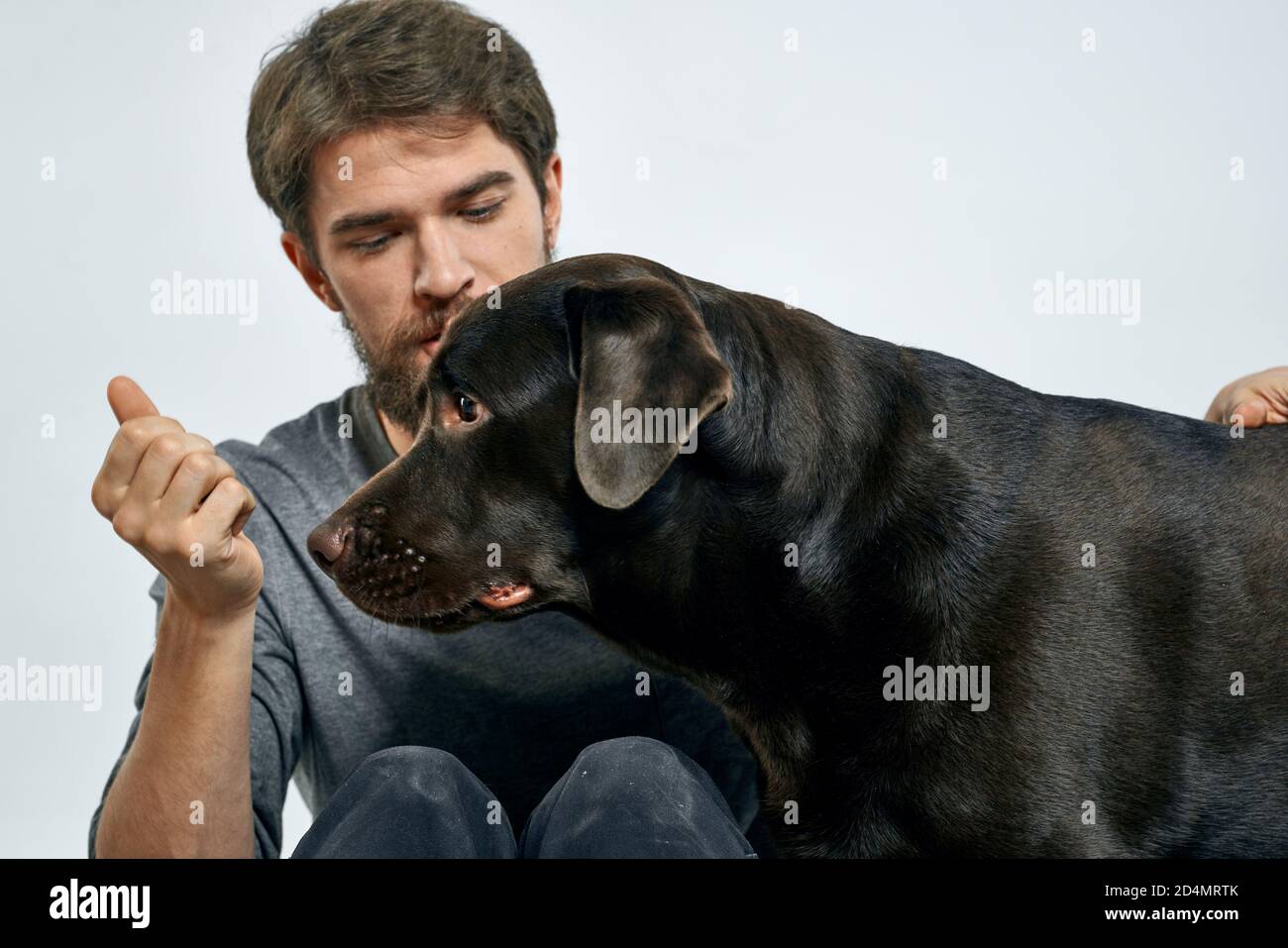 happy owner with pet black dog training model emotions Stock Photo - Alamy