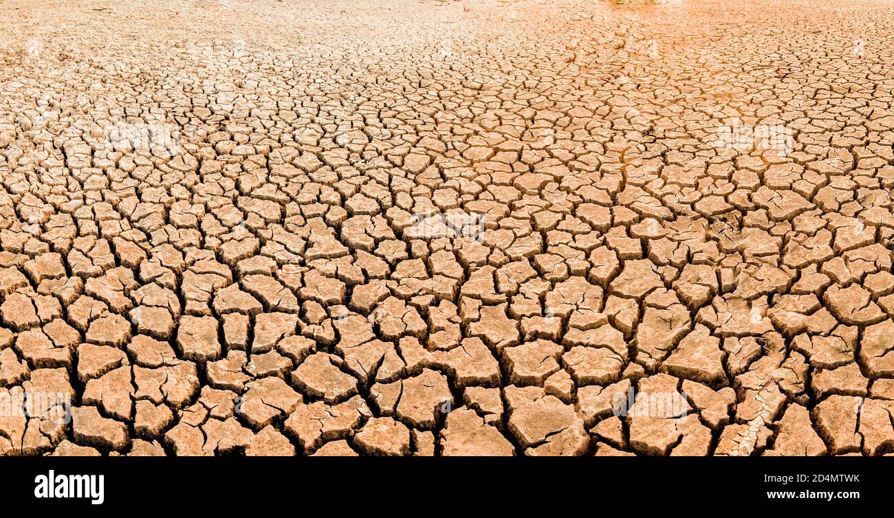 The greenhouse effect of climate pollution causes the land to be dry ...
