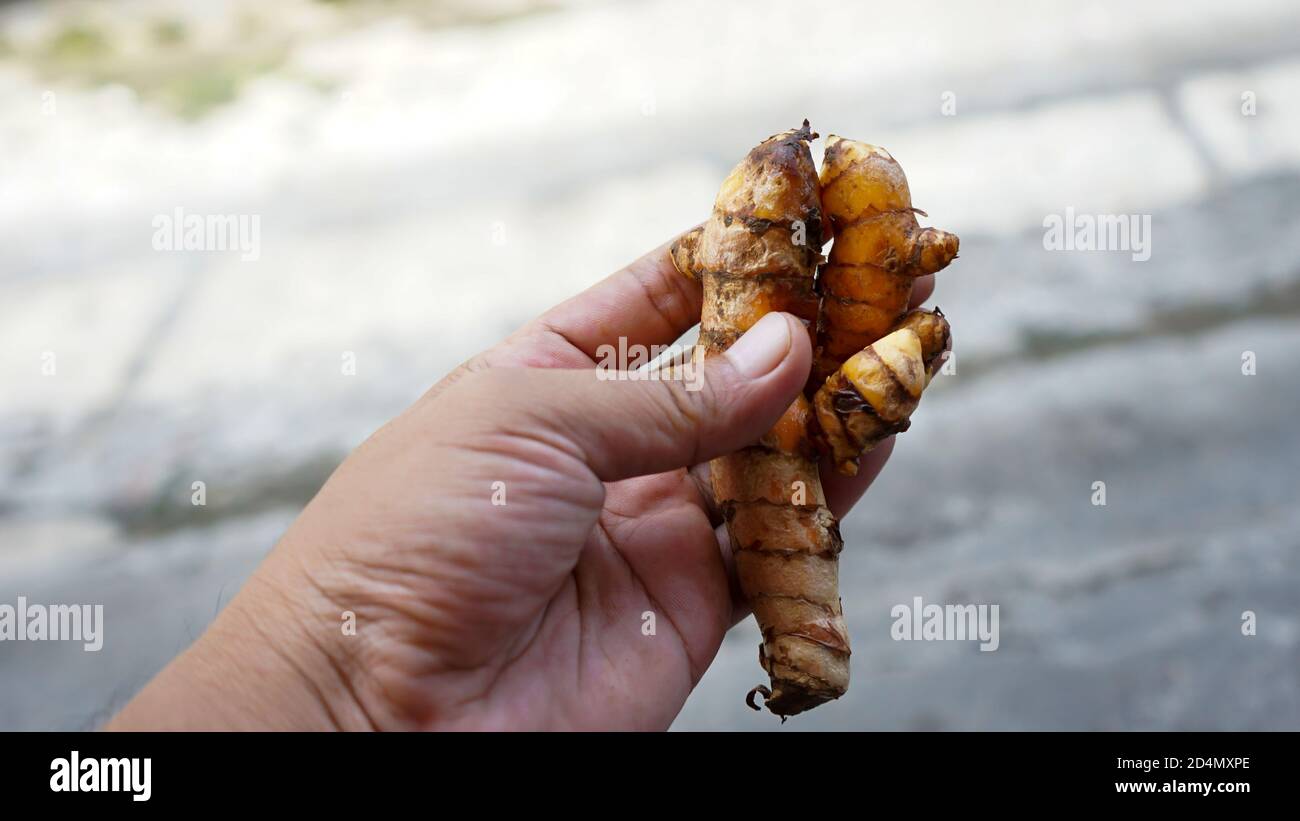 Ayurvedic root turmeric hi-res stock photography and images - Alamy