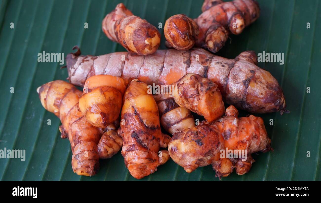 Indian root hi-res stock photography and images - Alamy