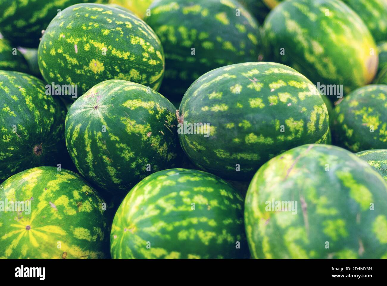 pile of watermelons in grocery store Stock Photo - Alamy