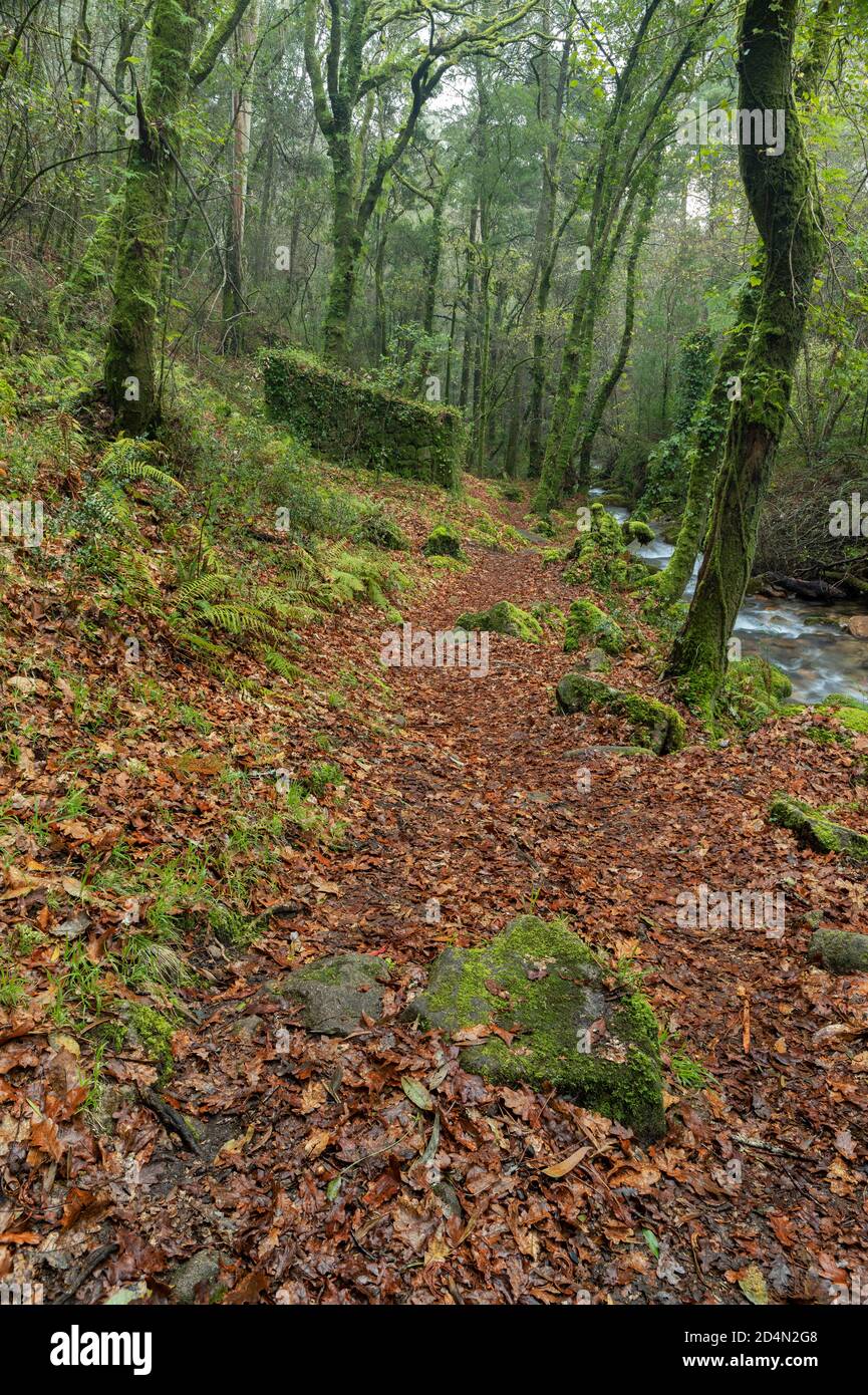 Trail along the Fraga river, Spain Stock Photo - Alamy