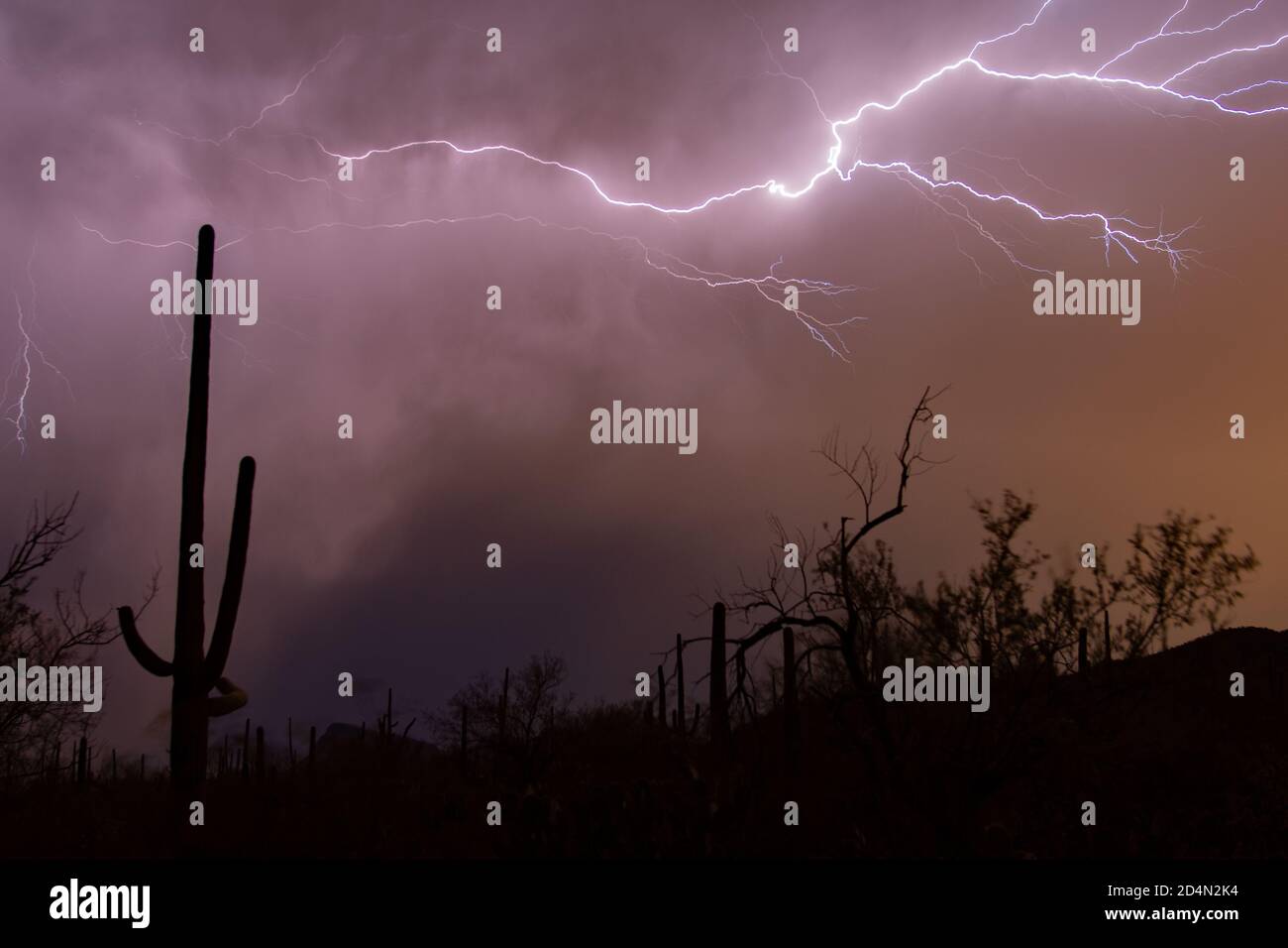 Lightning over the sonoran desert at night Stock Photo - Alamy