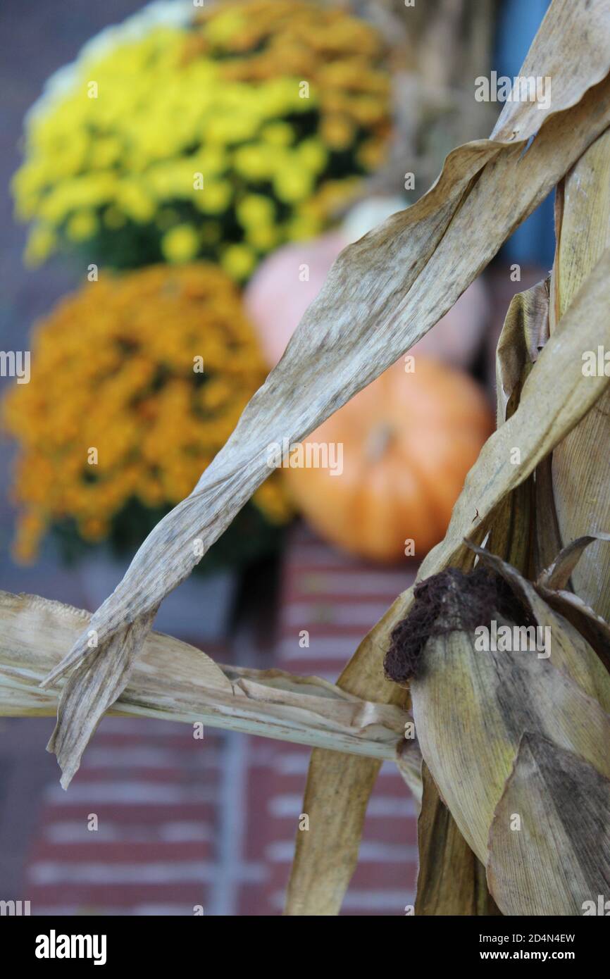 Fall in St. Charles MO Stock Photo - Alamy