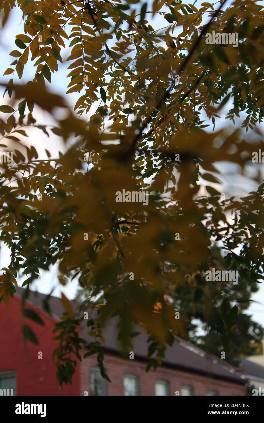 Fall in St. Charles MO Stock Photo - Alamy