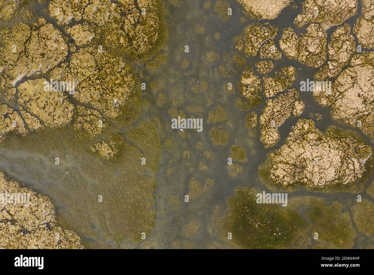 Aerial view of a shallow lagoon with wetland and calm water Stock Photo ...