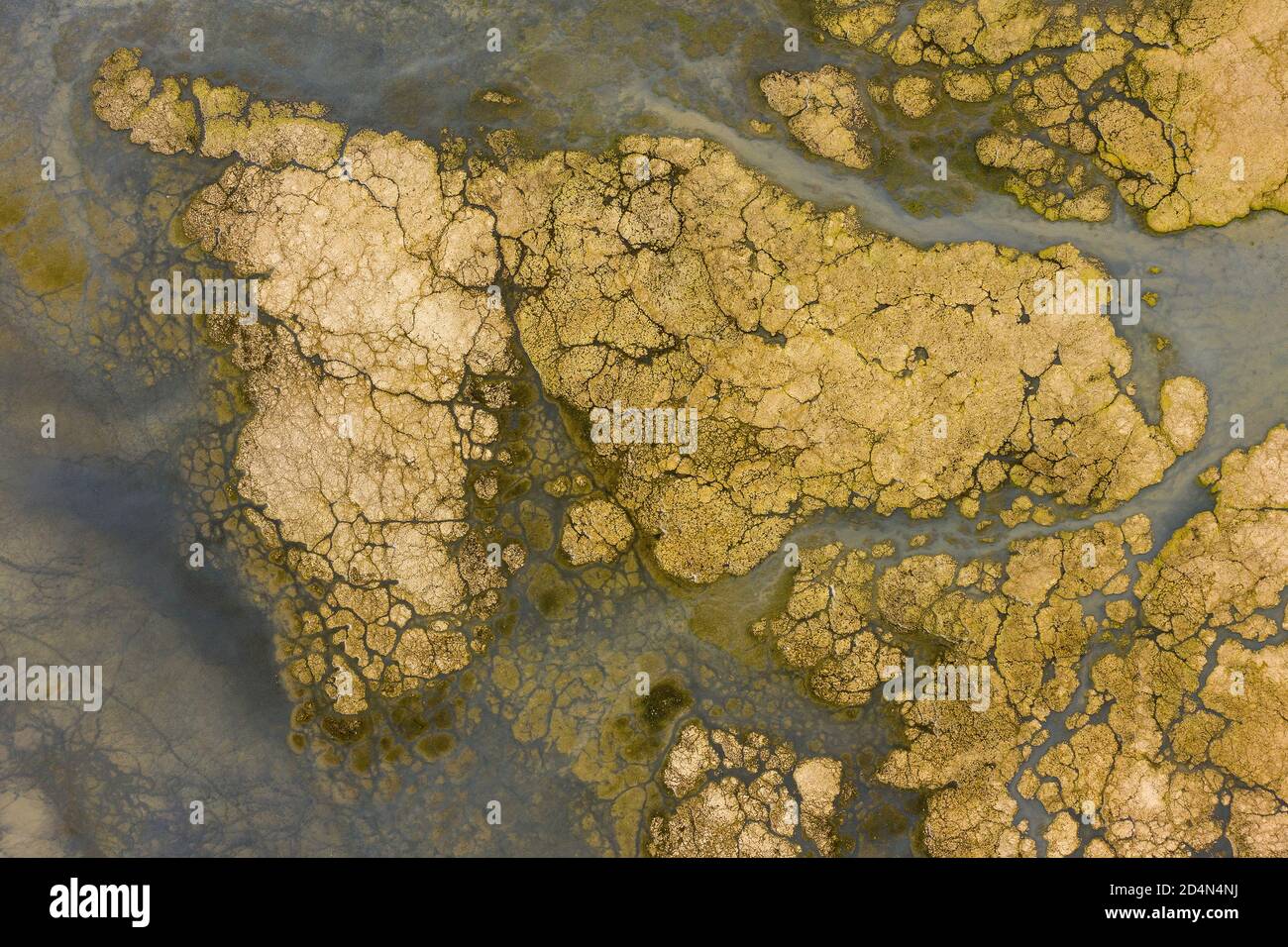 Aerial view of a shallow lagoon with wetland and calm water Stock Photo ...