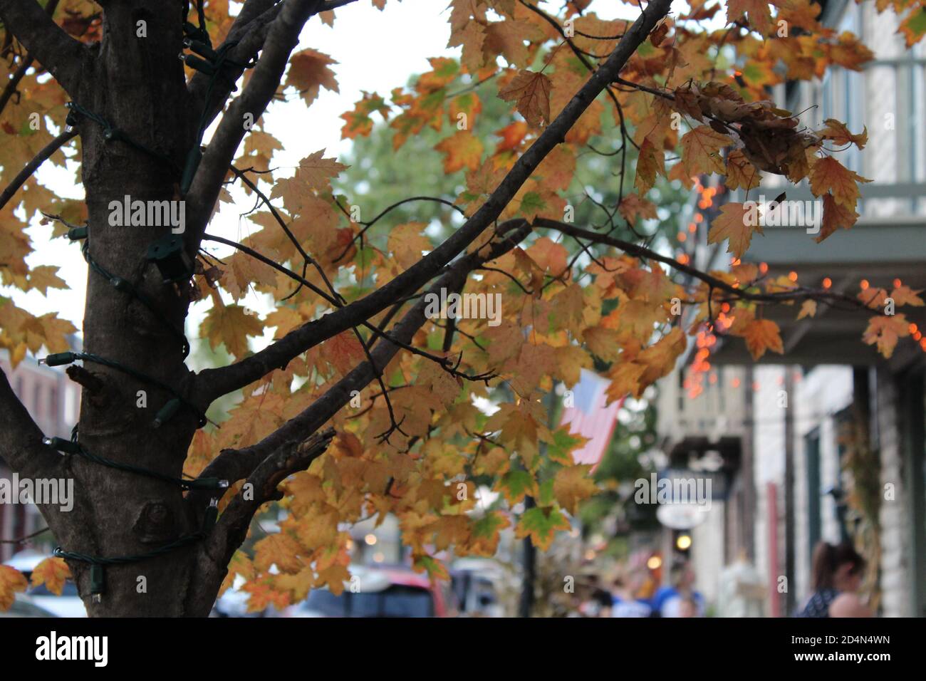Fall in St. Charles MO Stock Photo - Alamy