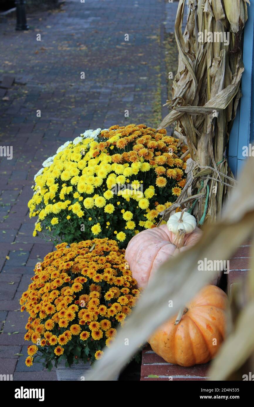 Fall in St. Charles MO Stock Photo - Alamy