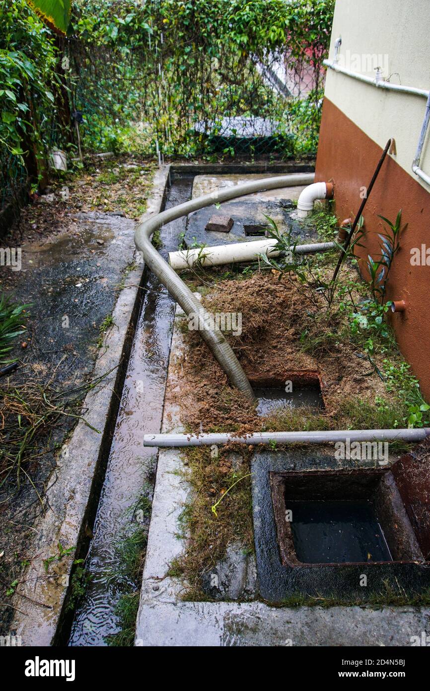 Emptying household septic tank. Cleaning and unblocking clogged drain ...