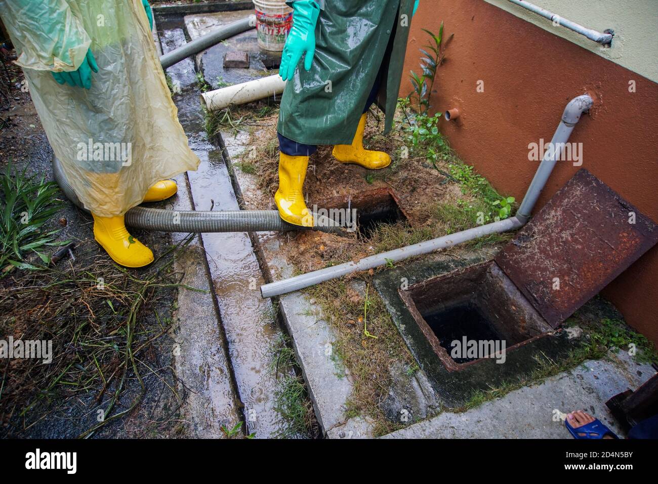 Emptying household septic tank. Cleaning and unblocking clogged drain ...