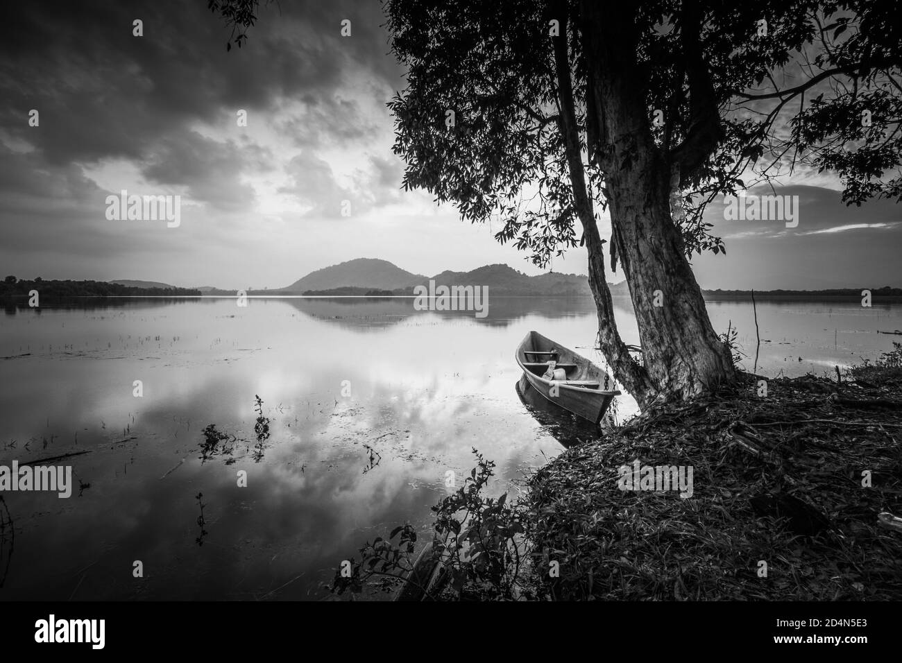 Against blue sky on Black and White Stock Photos & Images - Alamy