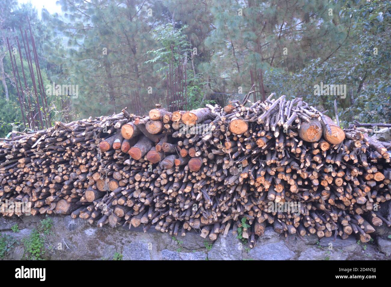 Fire wood preserved winter hi-res stock photography and images - Alamy