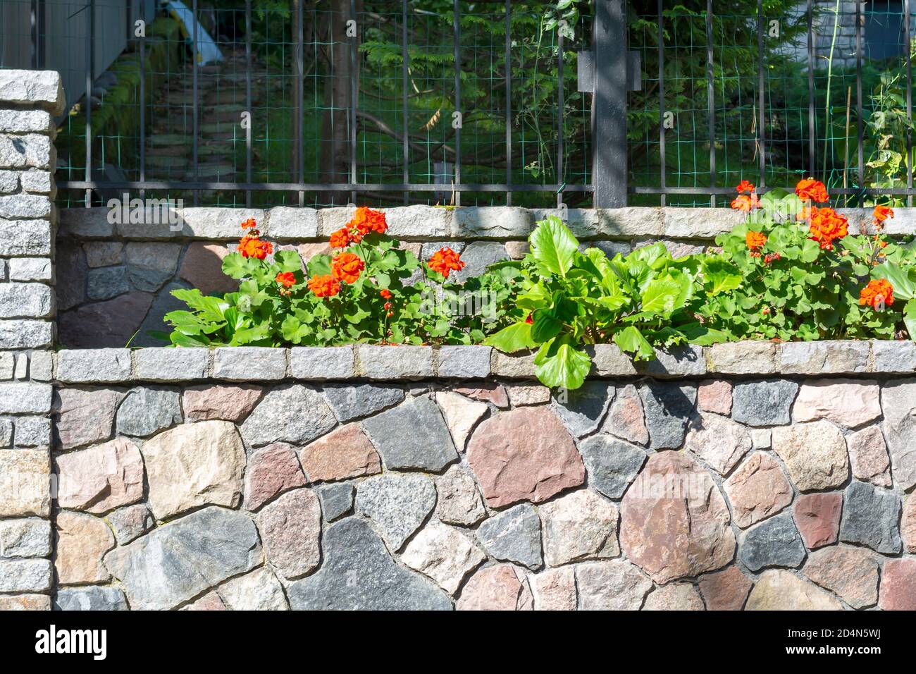 Natural stone fence on city street in bright sunlight. Red flowers and ...