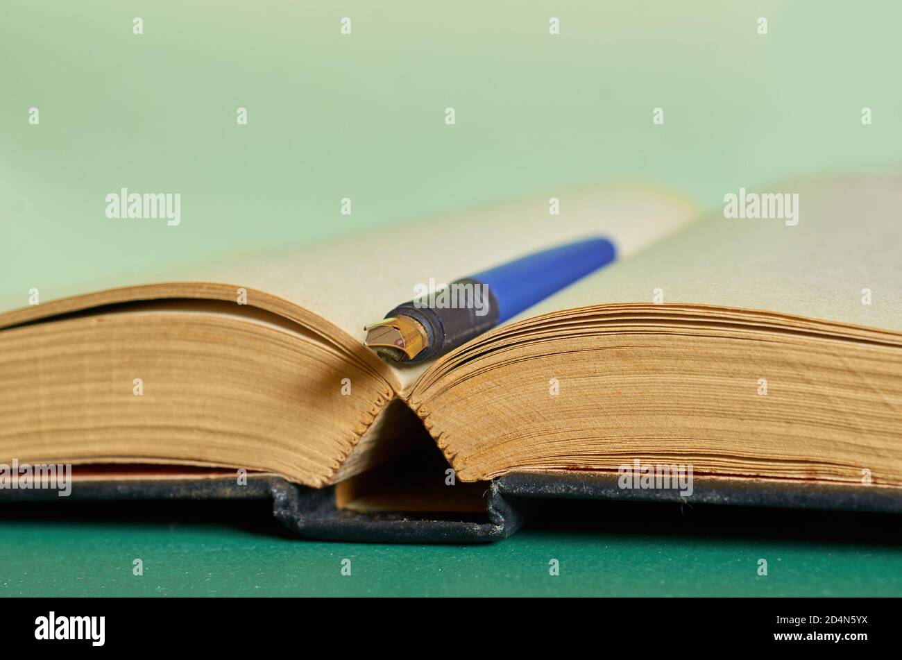 The fountain pen is lying on the open book. Close up. Macro Stock Photo ...