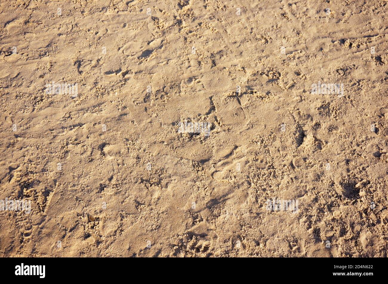Top view shot of sandy texture on the beach Stock Photo - Alamy