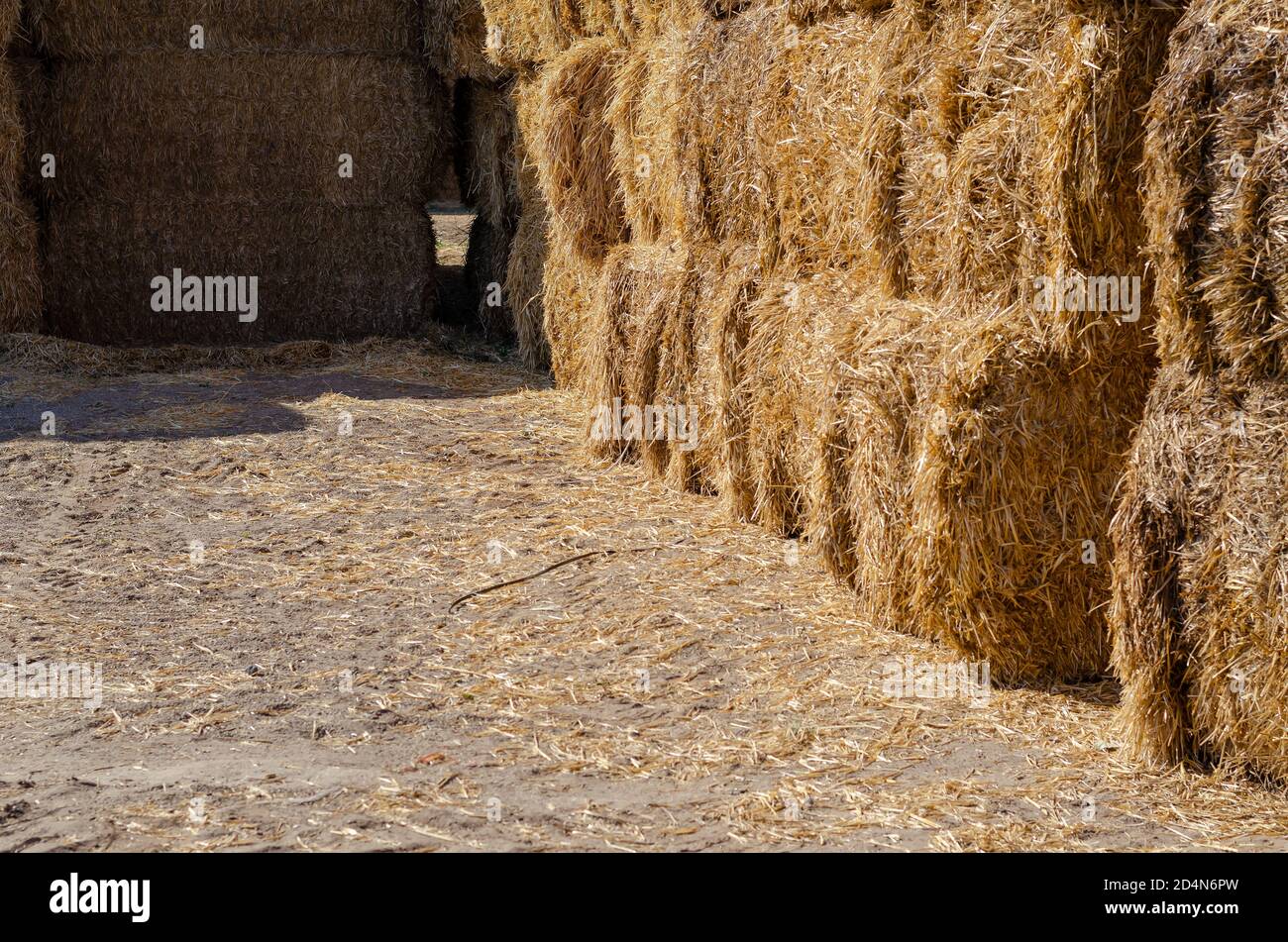 Stack rectangular bales dry hi-res stock photography and images - Alamy