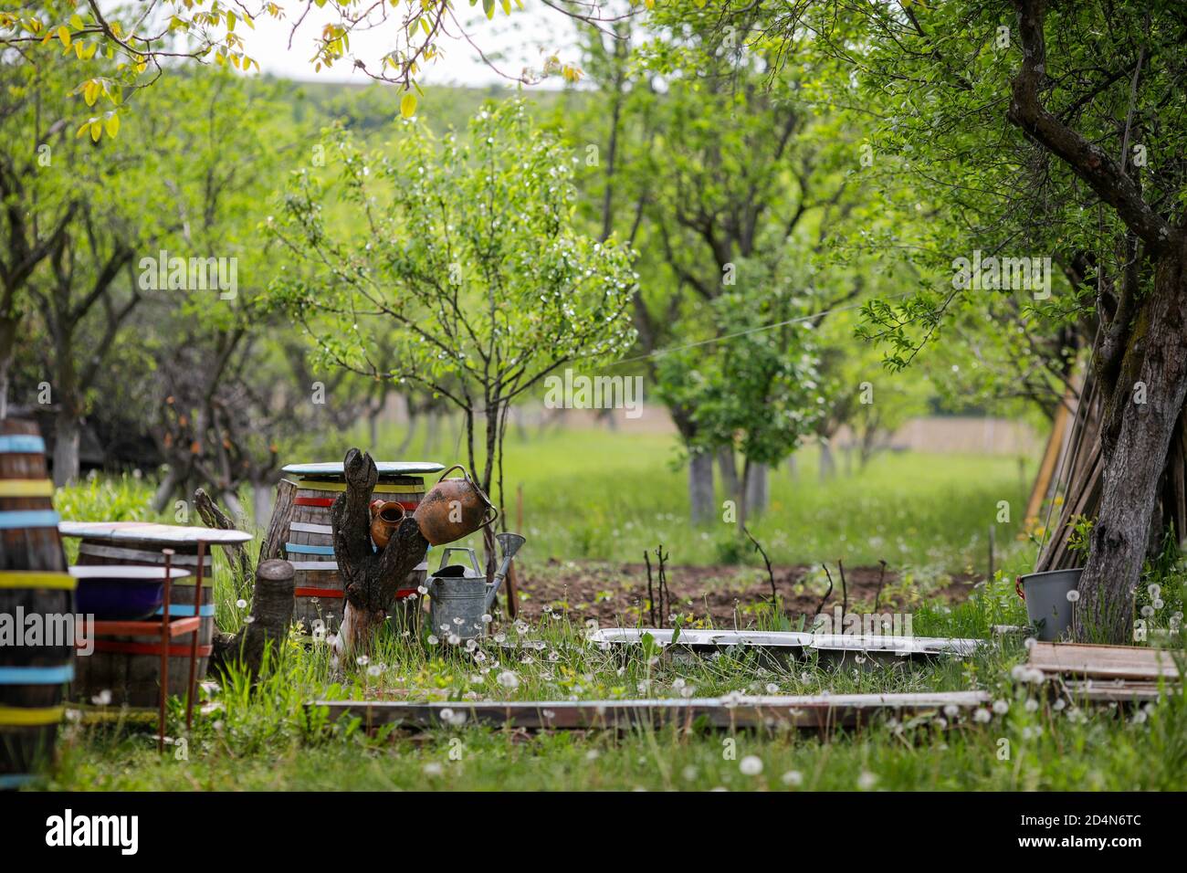 Rural scene from a back garden in a Romanian village Stock Photo - Alamy
