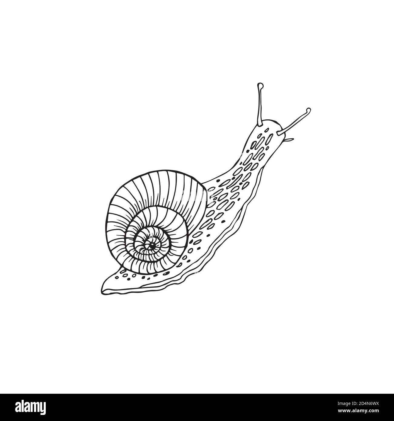 Snail coloring book for kids. cartoon character spiral decorative ...
