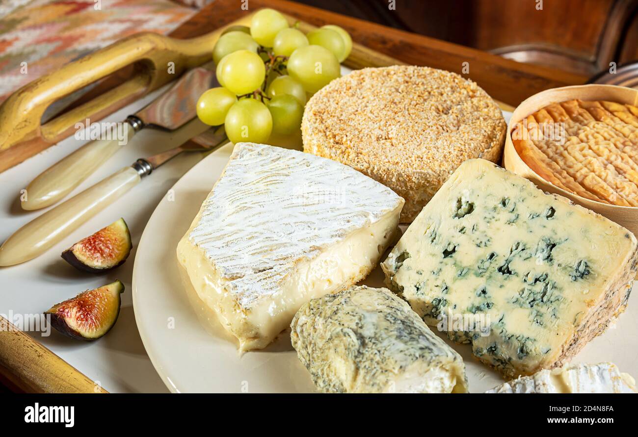 French cheese - camembert, roquefort, brie, goat cheese and epoisse ...