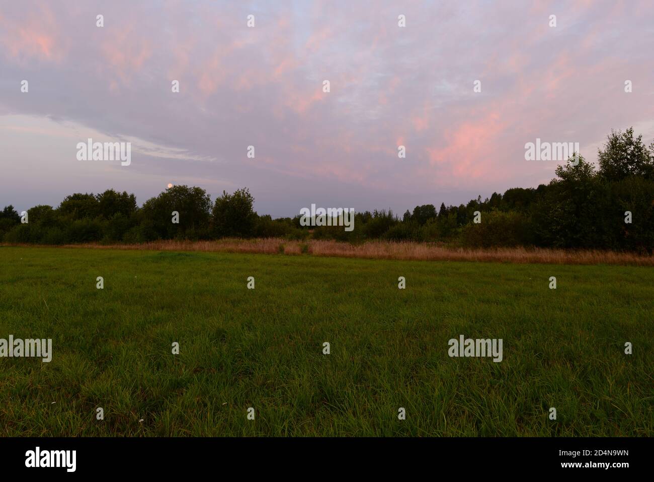 Dawn in field early hi-res stock photography and images - Alamy