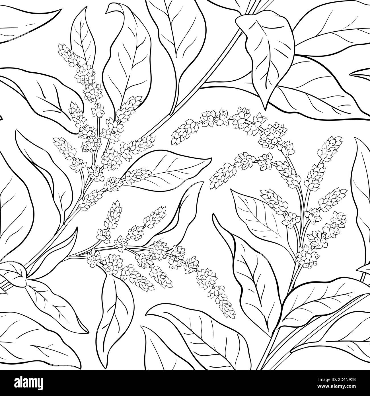 Amaranth Black and White Stock Photos & Images - Alamy