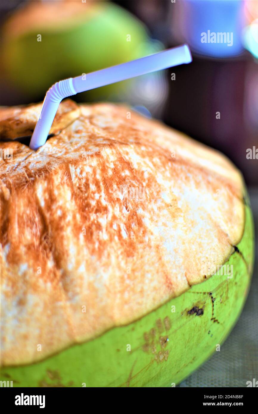 Fresh coconut water served in a shell with a white straw Stock Photo ...