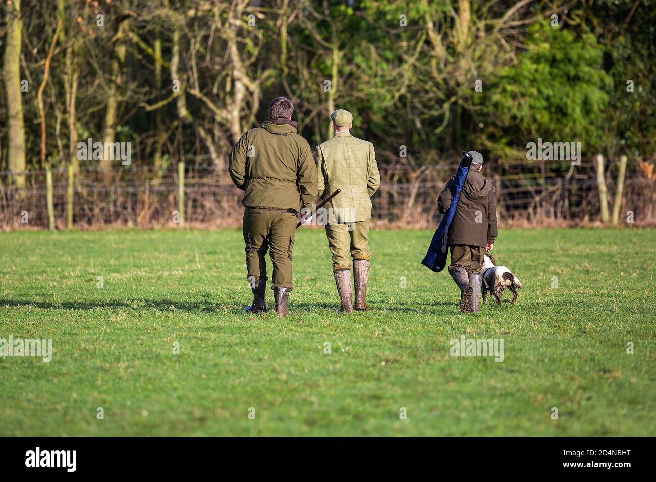 Game bird gun hi-res stock photography and images - Alamy