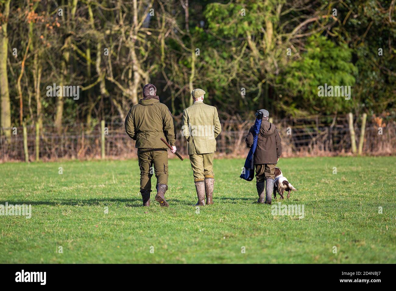 Game bird gun hi-res stock photography and images - Alamy