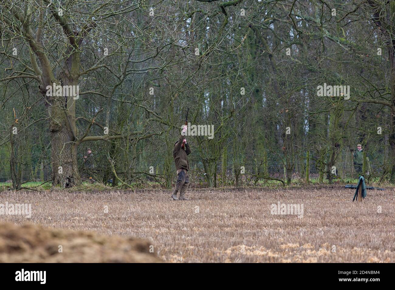 Game Shooting In Lancashire High Resolution Stock Photography and ...