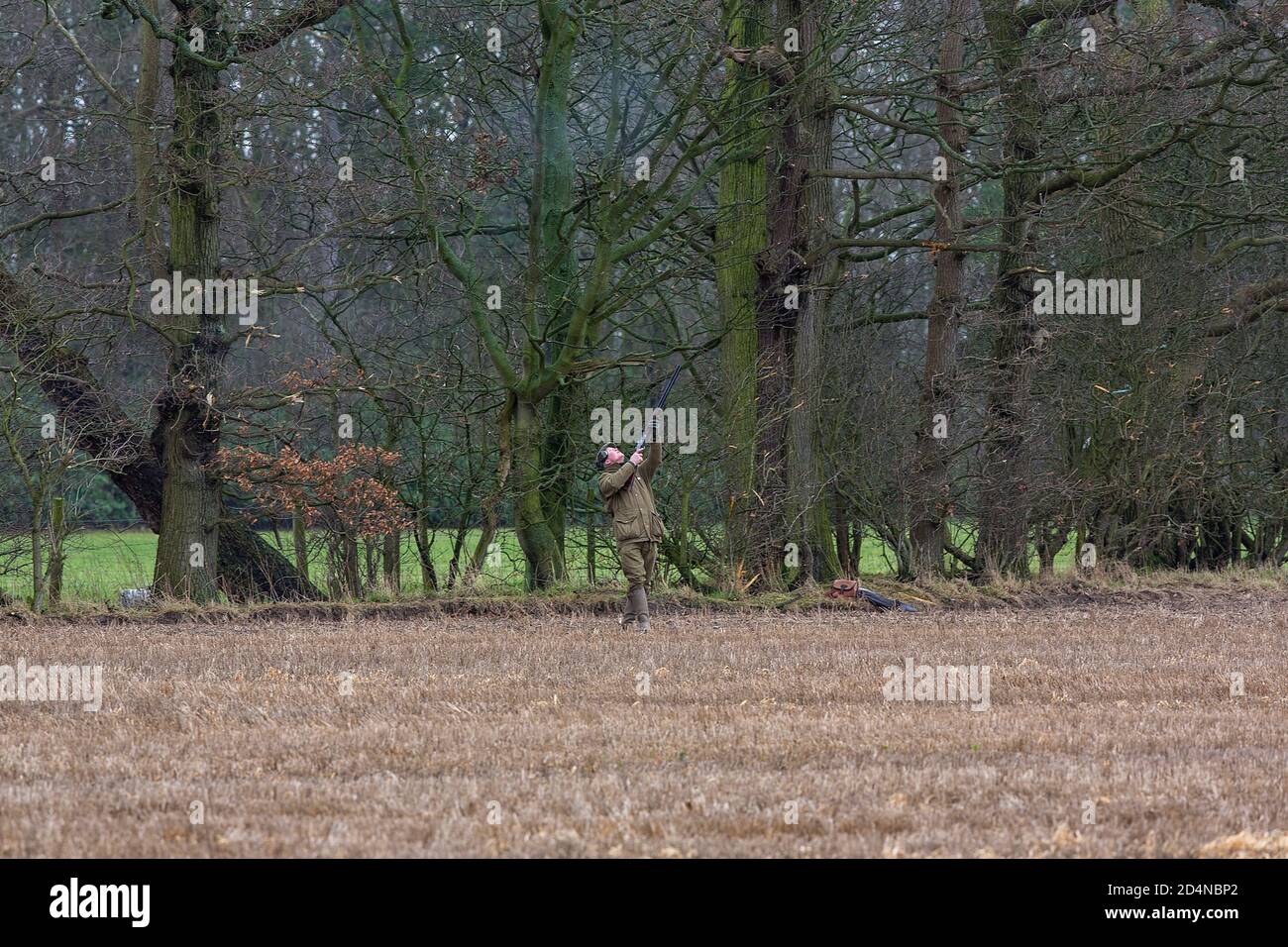 Game Shooting In Lancashire High Resolution Stock Photography and ...
