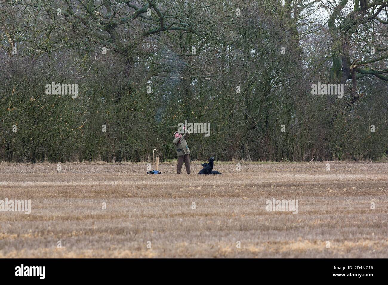 Game Shooting In Lancashire High Resolution Stock Photography and ...