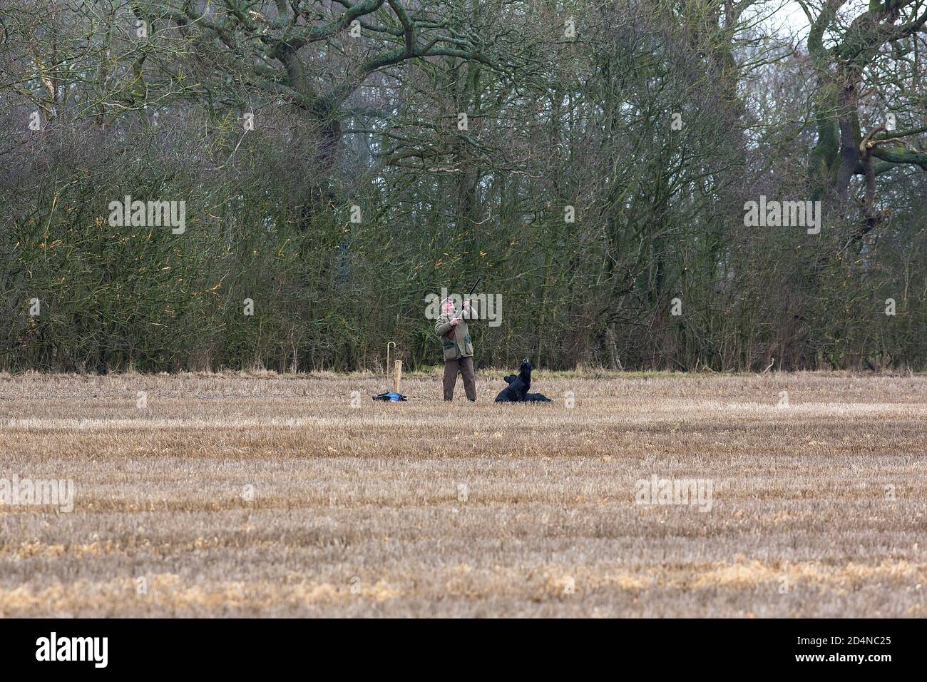 Game shooting in lancashire hi-res stock photography and images - Alamy