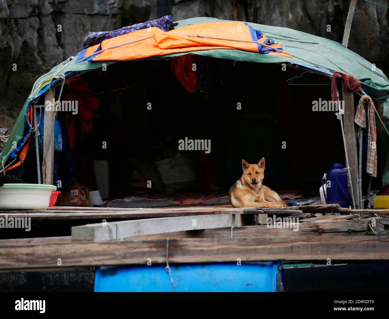 Vietnam, Quang Ninh Area, Halong Bay or Ha Long Bay Unesco World ...