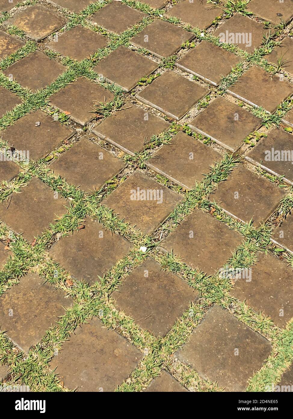 High angle shot overgrown hi-res stock photography and images - Alamy