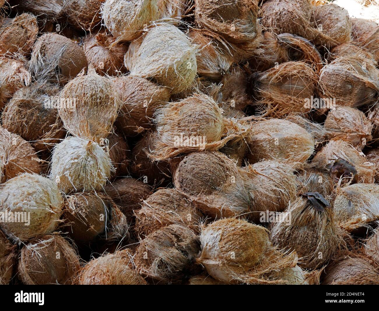 Vietnam, Mekong Delta, Coconut Factory Stock Photo - Alamy