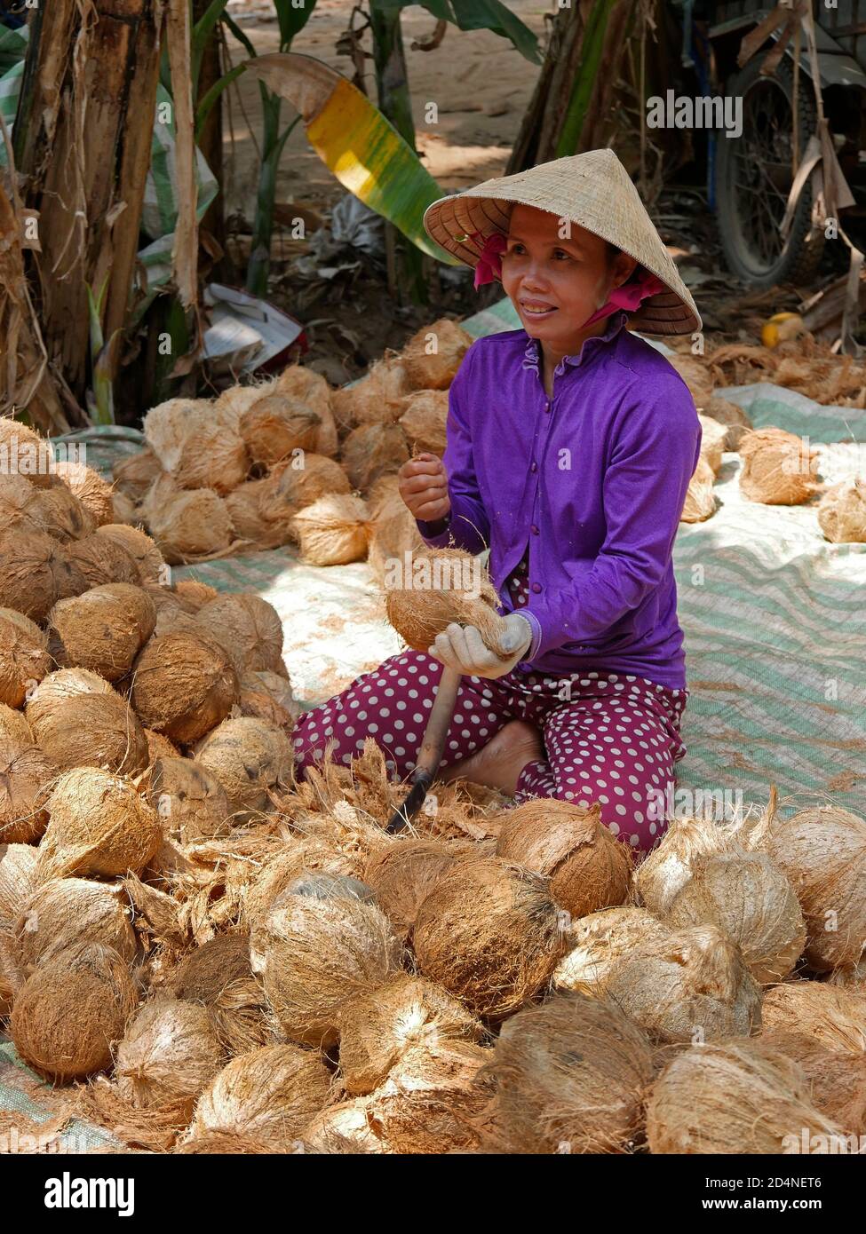 Vietnam, Mekong Delta, Coconut Factory Stock Photo - Alamy
