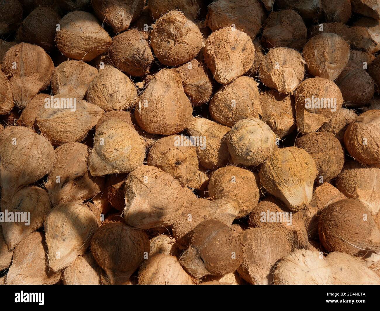 Vietnam, Mekong Delta, Coconut Factory Stock Photo - Alamy