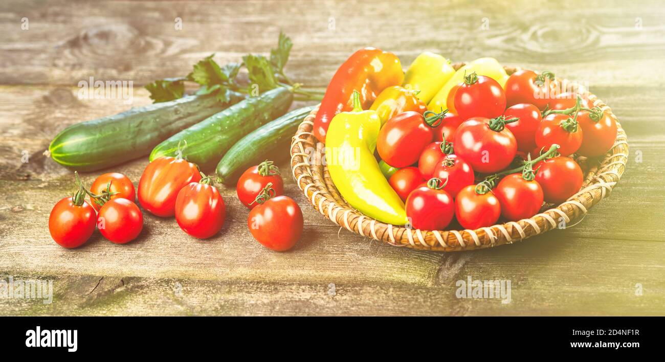 Rod celery harvest hi-res stock photography and images - Alamy