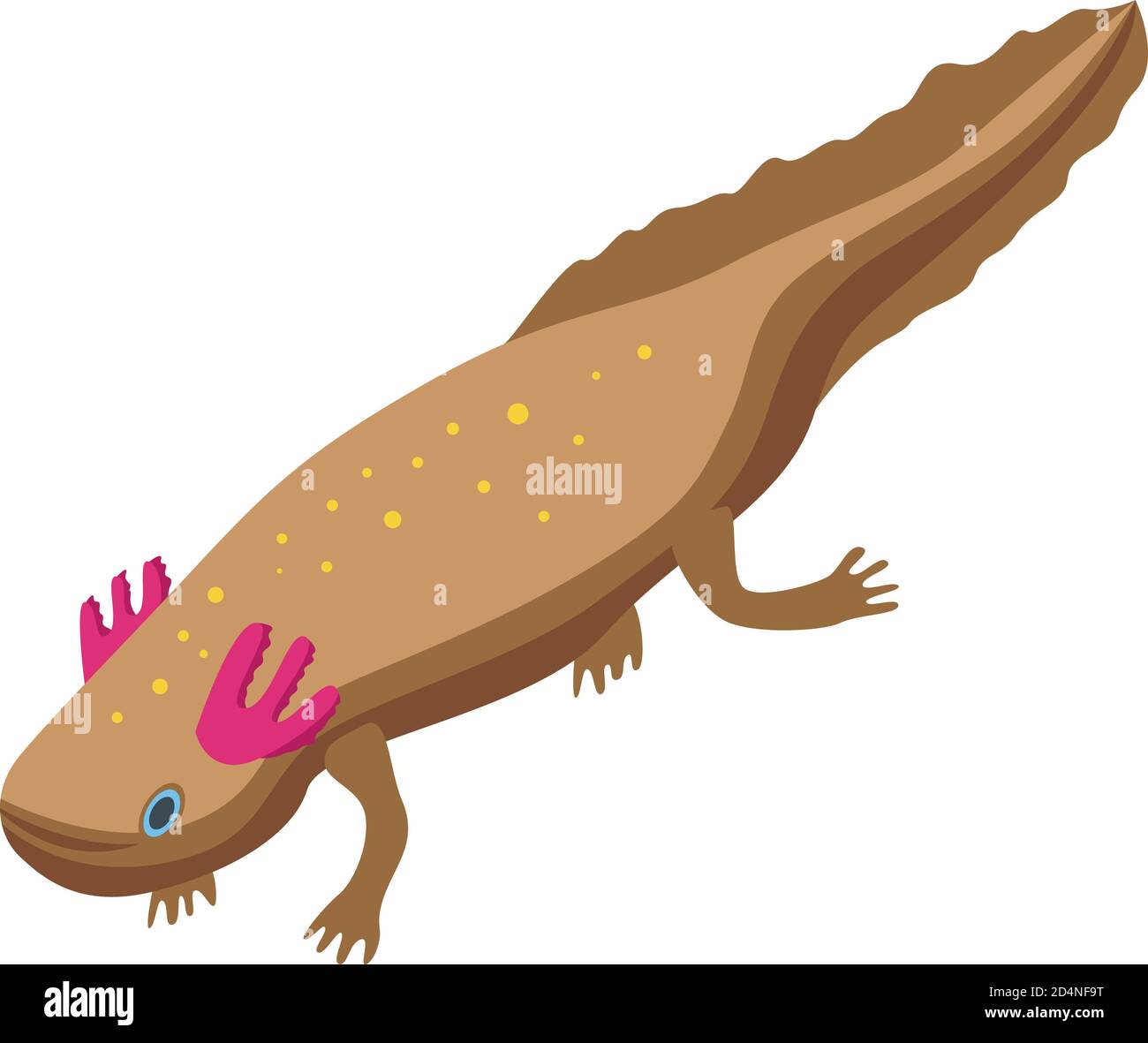 Axolotl symbol hi-res stock photography and images - Alamy