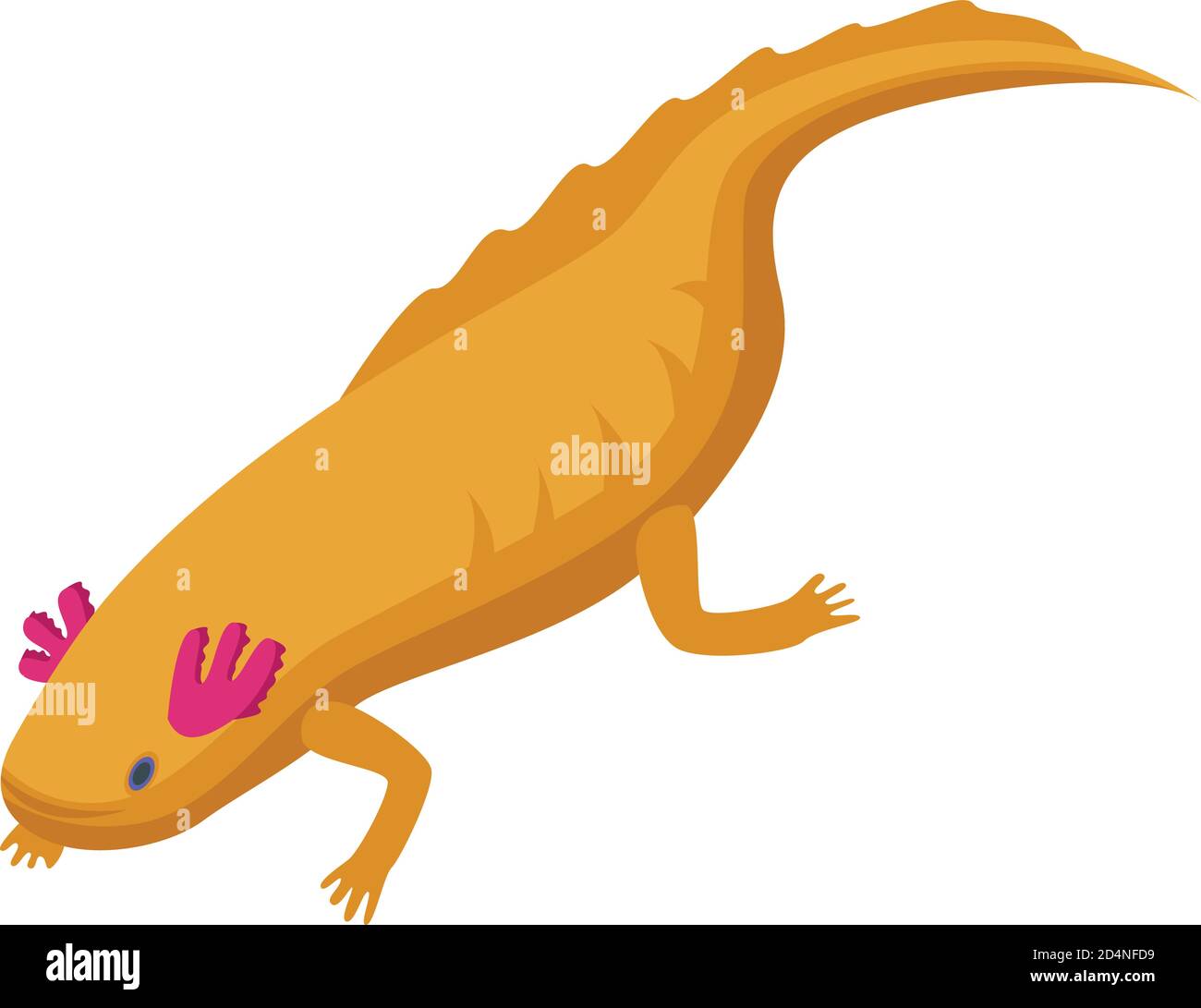 Axolotl logo Stock Vector Images - Alamy