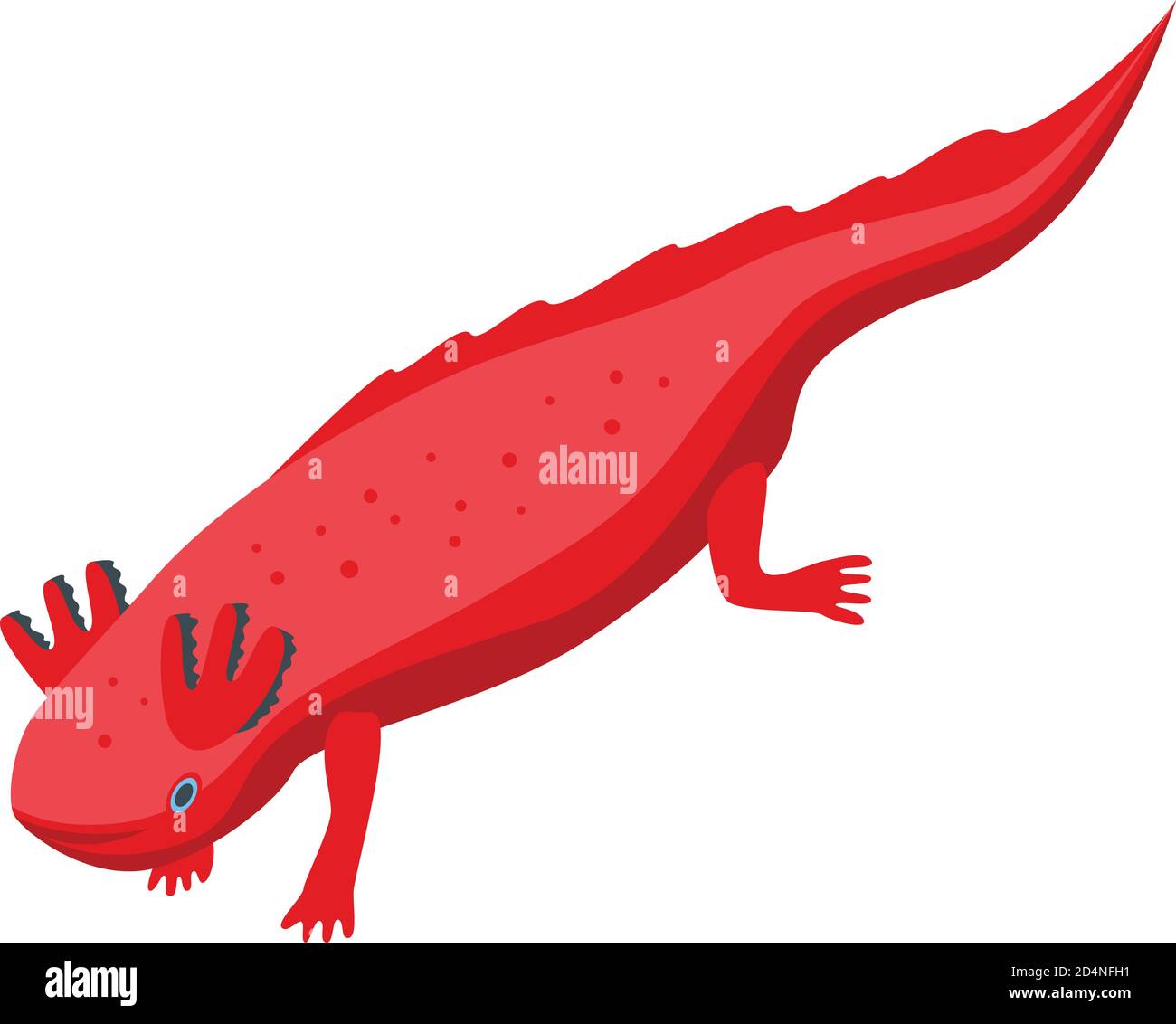 Axolotl Illustration Reptile Axolotl Water Cut Out Stock Images ...