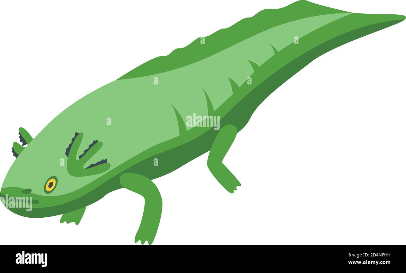 Axolotl symbol hi-res stock photography and images - Alamy