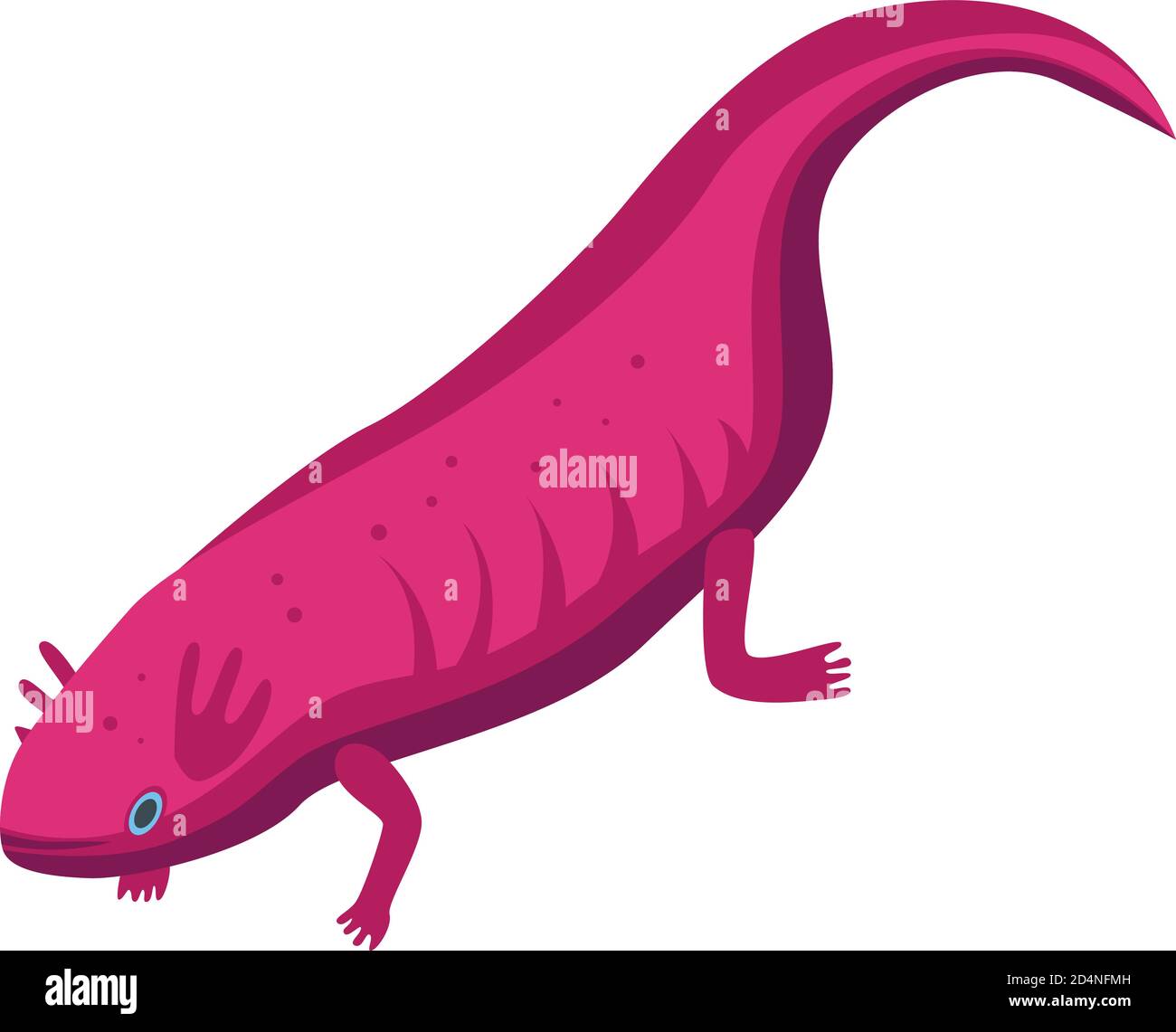 Water axolotl icon, isometric style Stock Vector Image & Art - Alamy