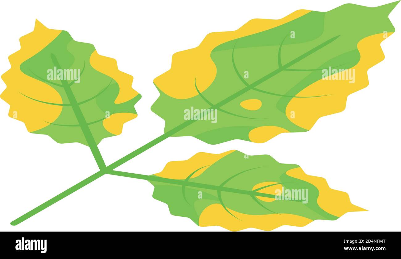 Fallen leaf icon, isometric style Stock Vector Image & Art - Alamy